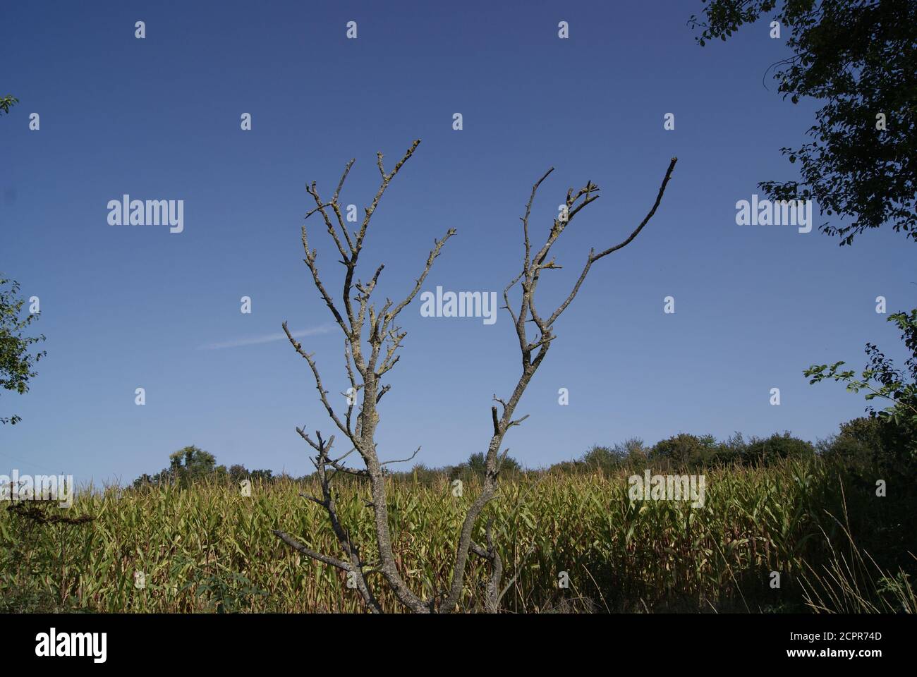 Walk along the Nidda in Hessen Germany Stock Photo - Alamy