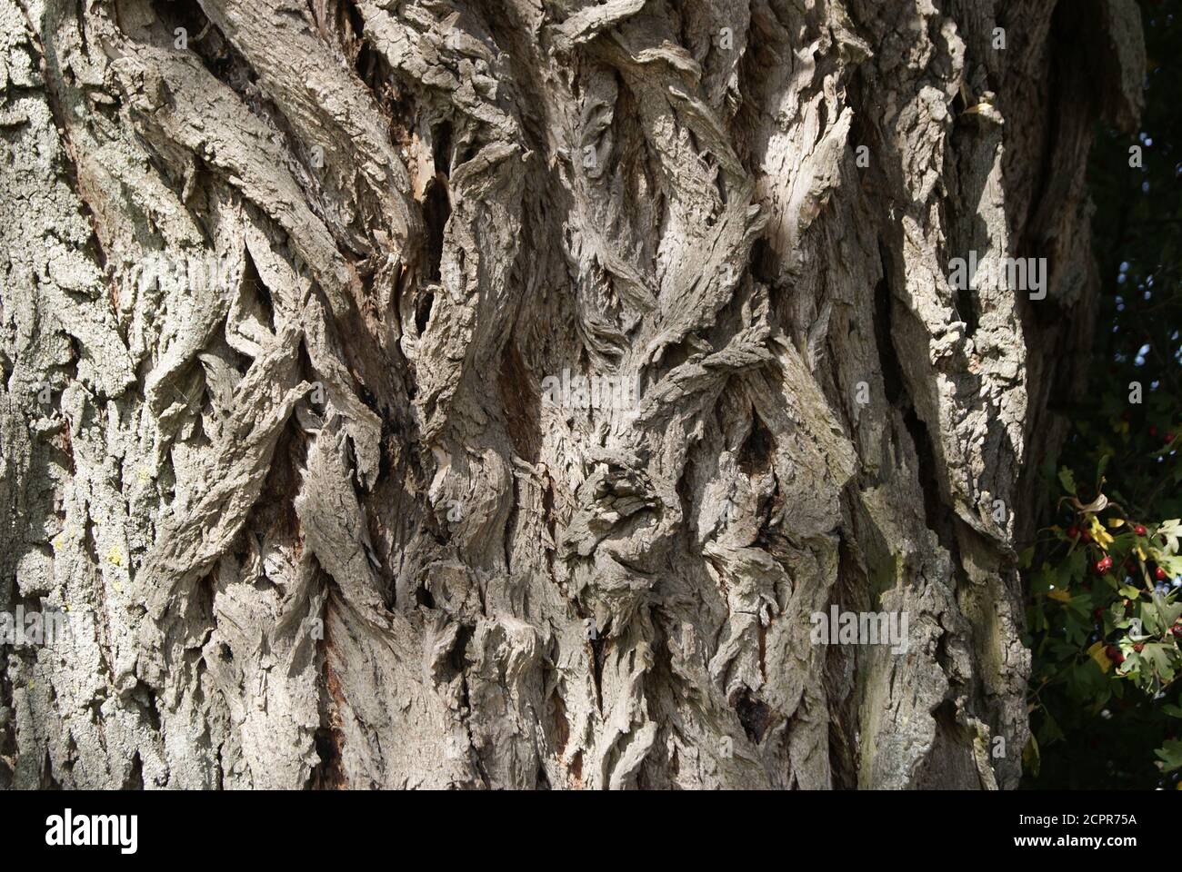 Walk along the Nidda in Hessen Germany Stock Photo - Alamy