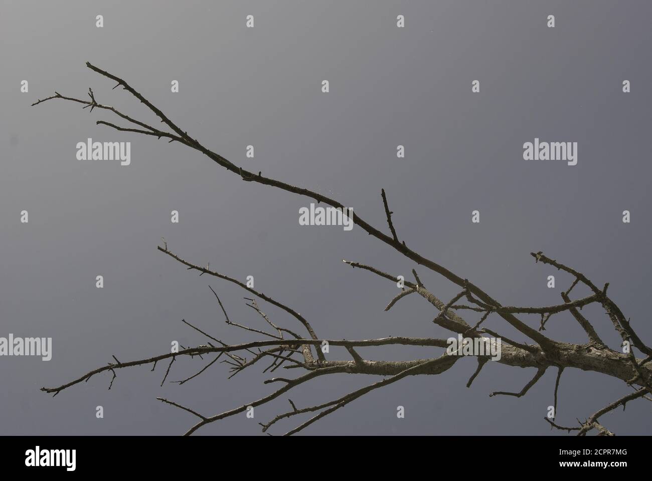 Walk along the Nidda in Hessen Germany Stock Photo - Alamy