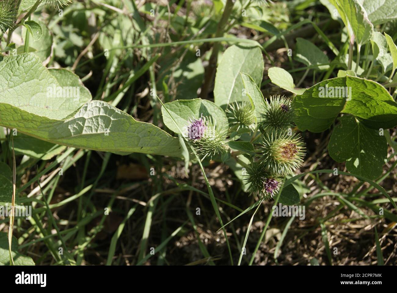 Walk along the Nidda in Hessen Germany Stock Photo - Alamy