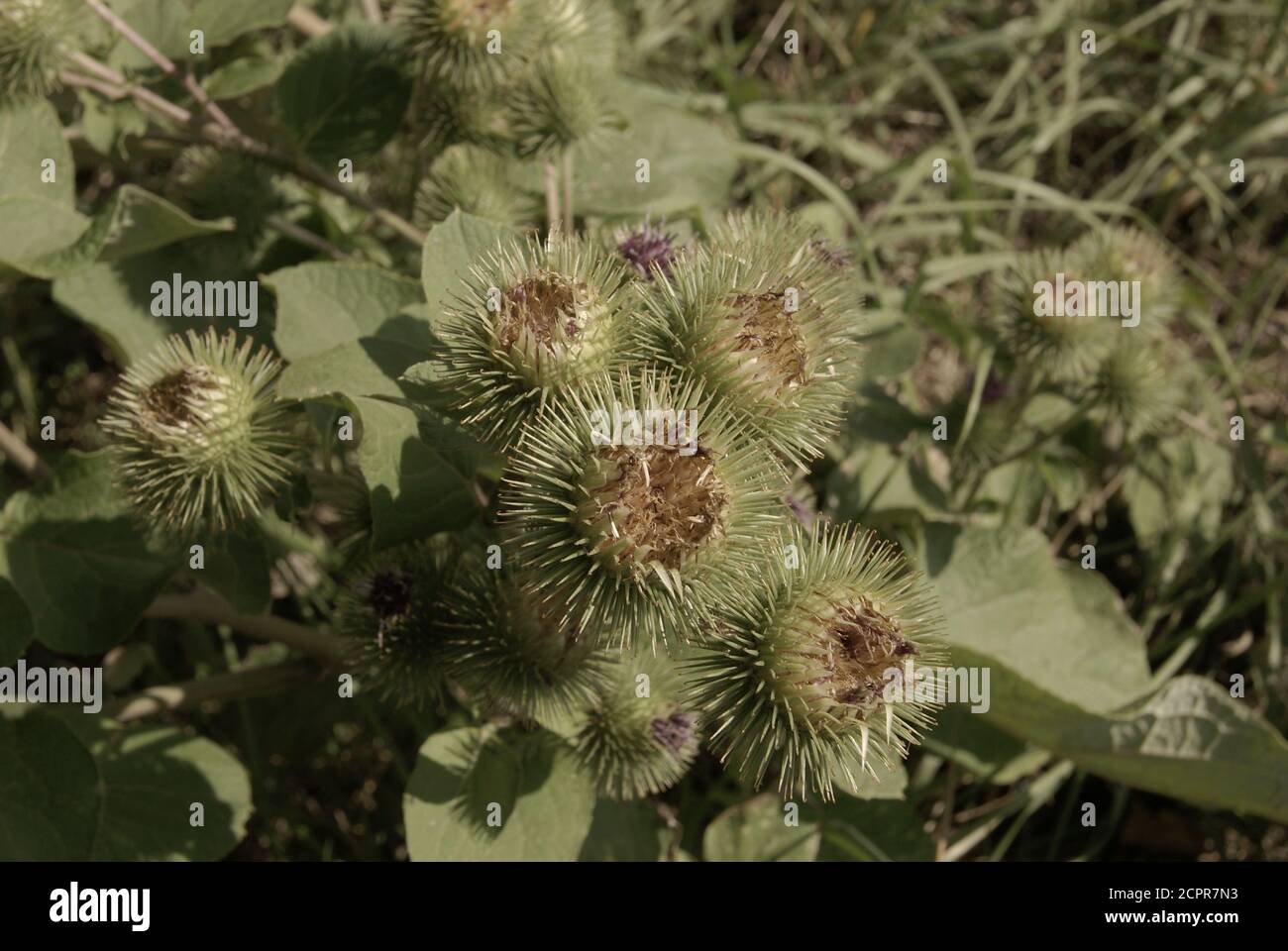 Walk along the Nidda in Hessen Germany Stock Photo - Alamy