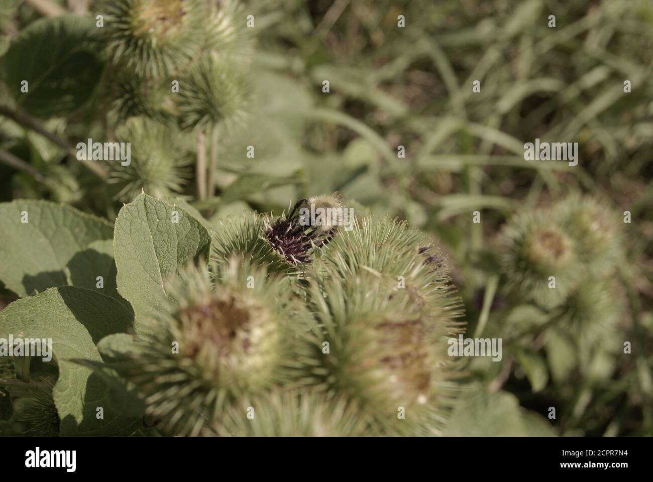 Walk along the Nidda in Hessen Germany Stock Photo - Alamy