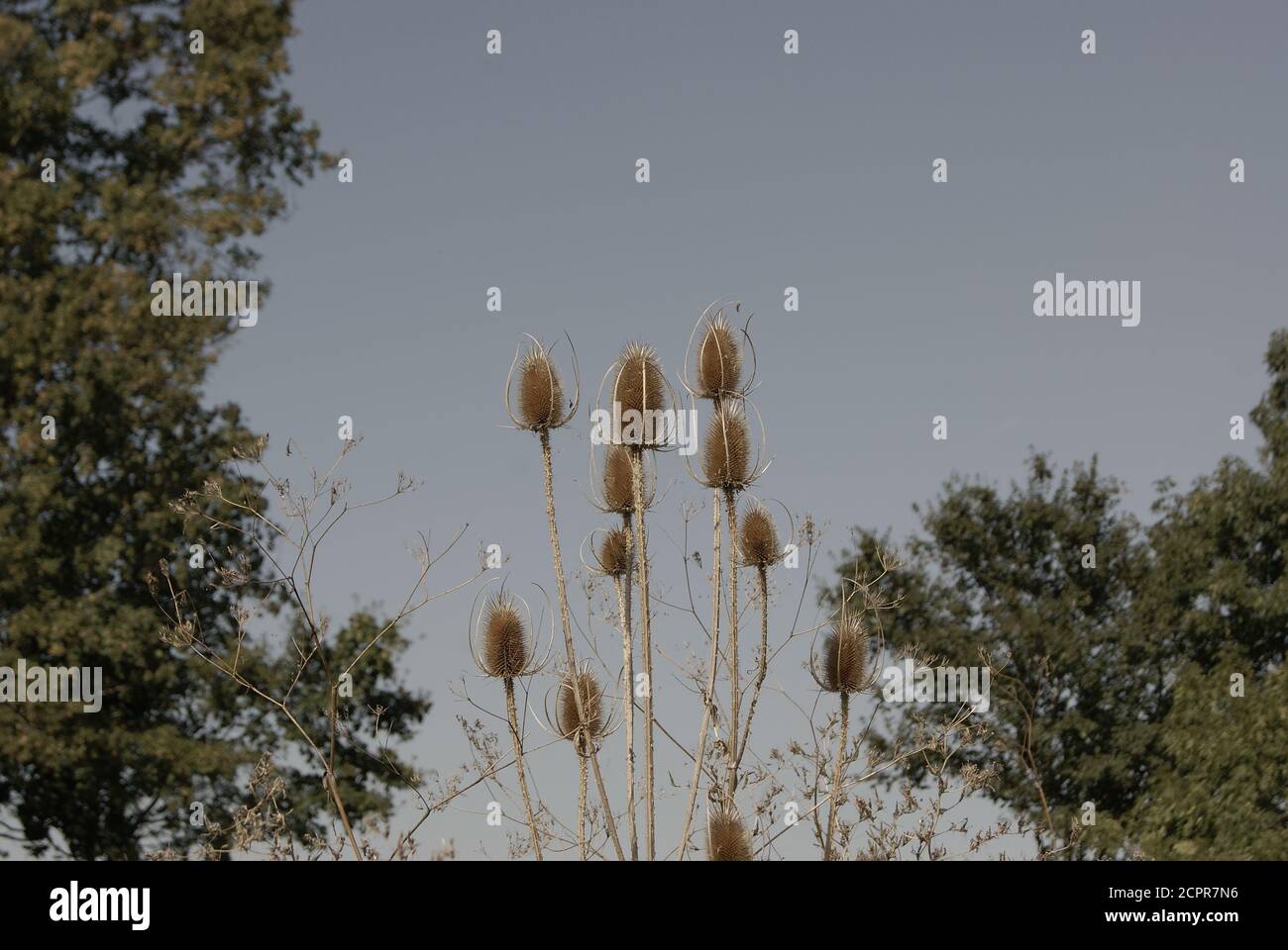 Walk along the Nidda in Hessen Germany Stock Photo - Alamy