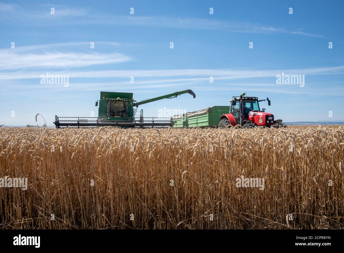 Combine harvester during the grain harvest Stock Photo - Alamy