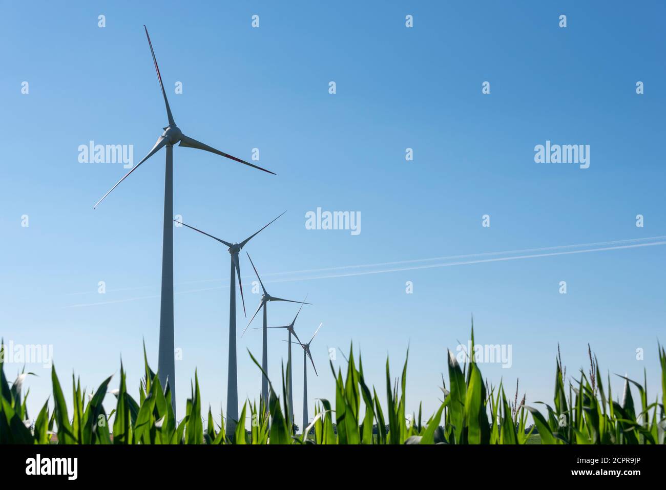 Green corn field with wind turbines Stock Photo - Alamy