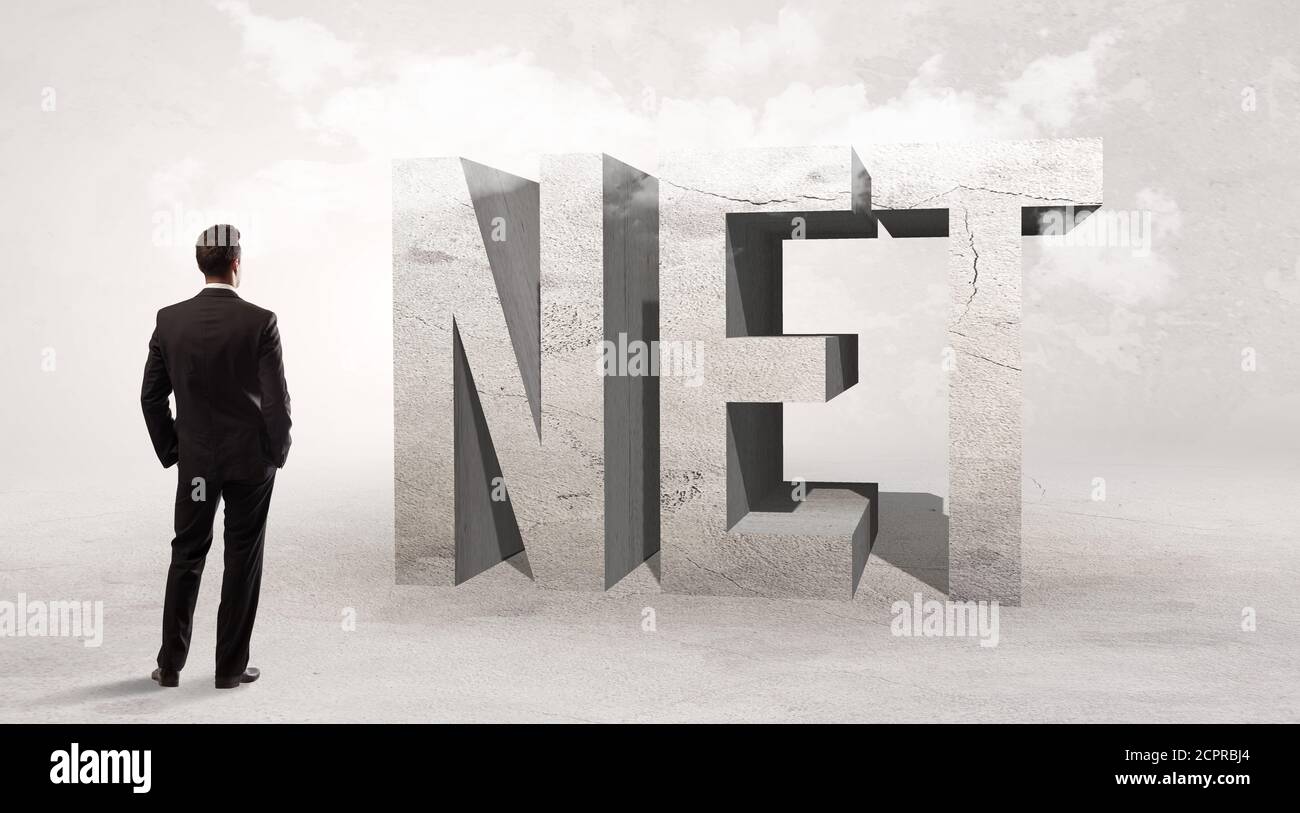 Rear view of a businessman standing in front of NET abbreviation ...