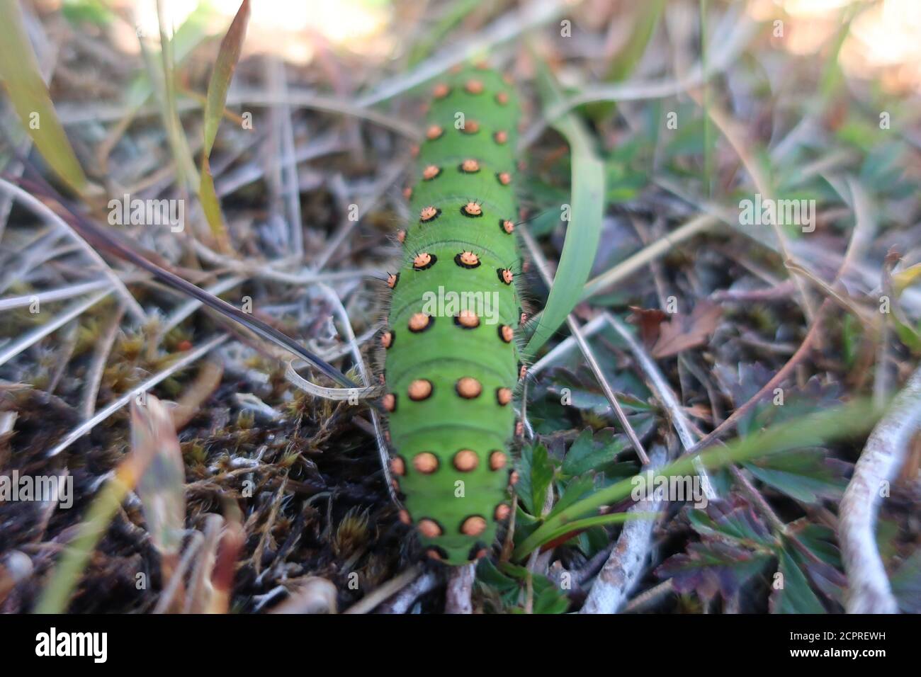 The Hebridean Way. Outer Hebrides. Highlands. Scotland. UK Stock Photo ...