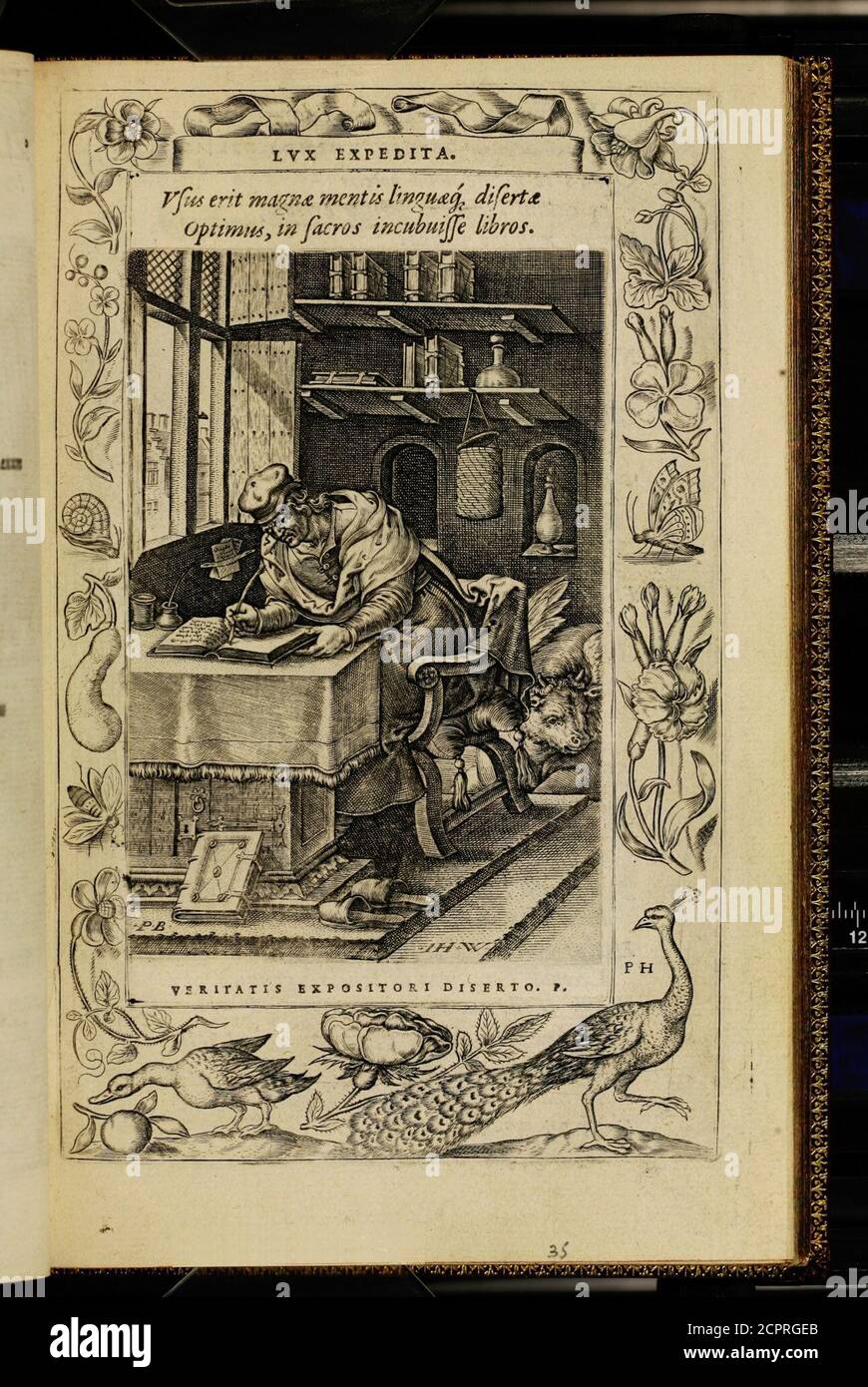 Mirandi hi-res stock photography and images - Alamy