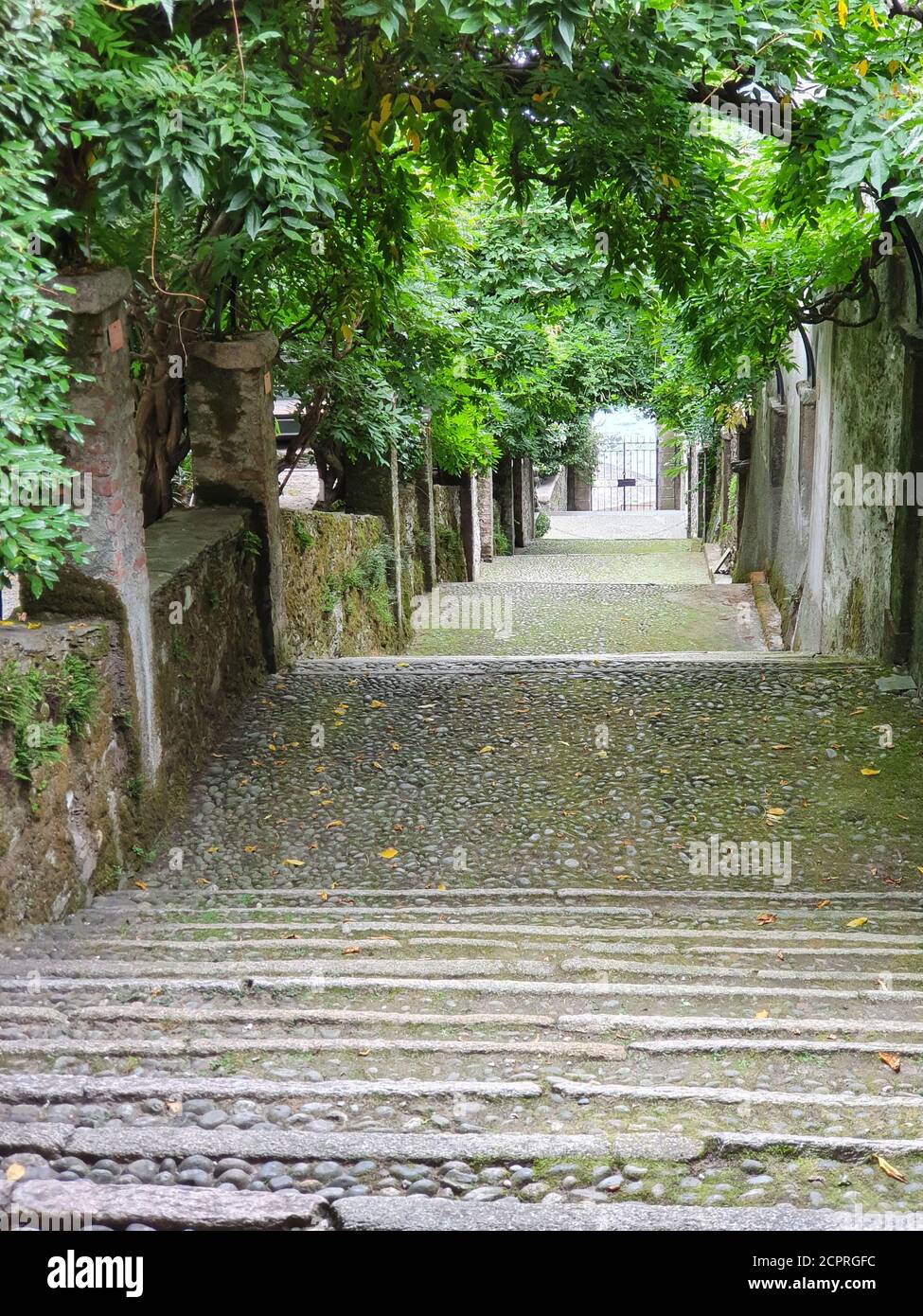 Vertical shot of stairs in a park Stock Photo - Alamy