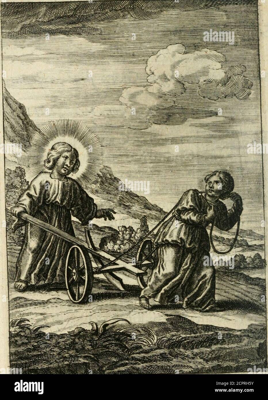 Sola ip hi-res stock photography and images - Alamy