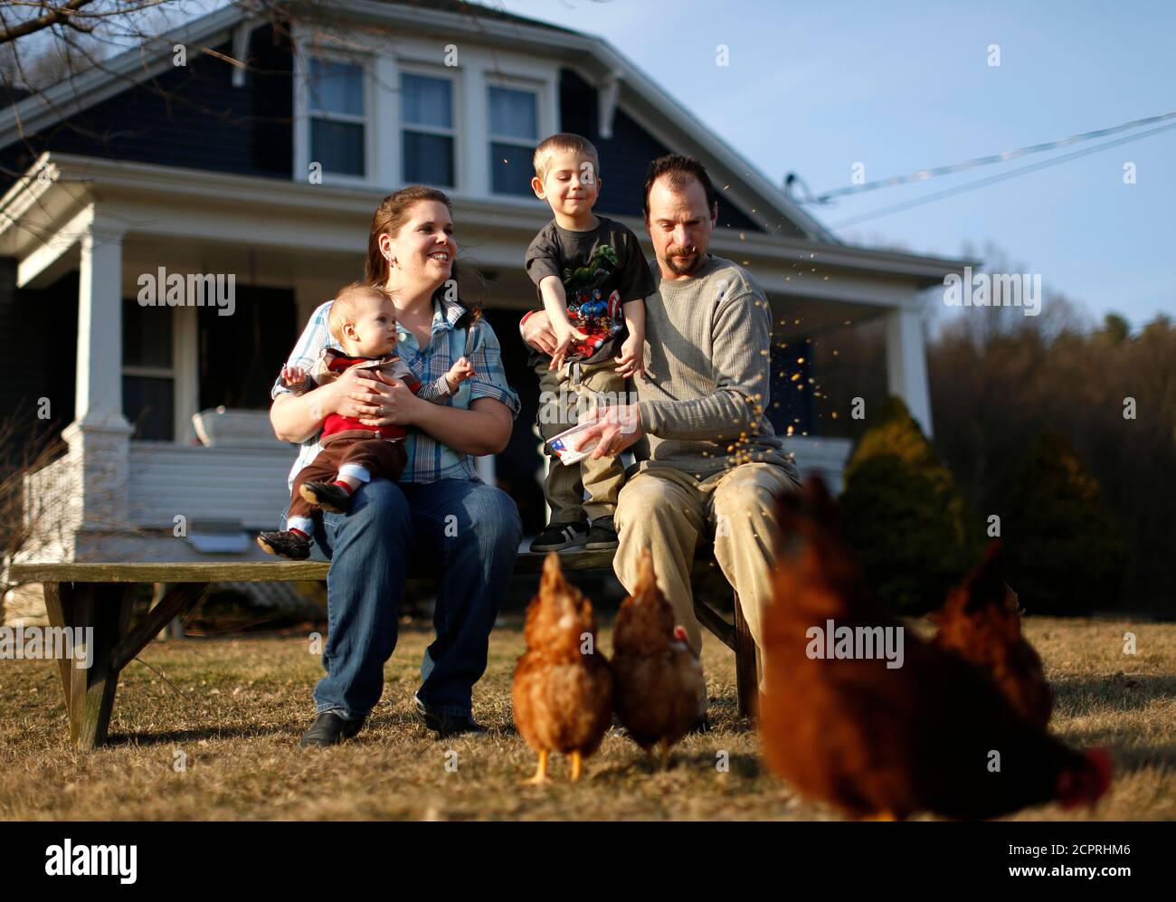 Pennsylvania Chickens High Resolution Stock Photography and Images - Alamy