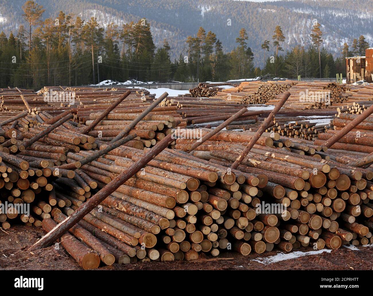 Logs exports for japan hi-res stock photography and images - Alamy