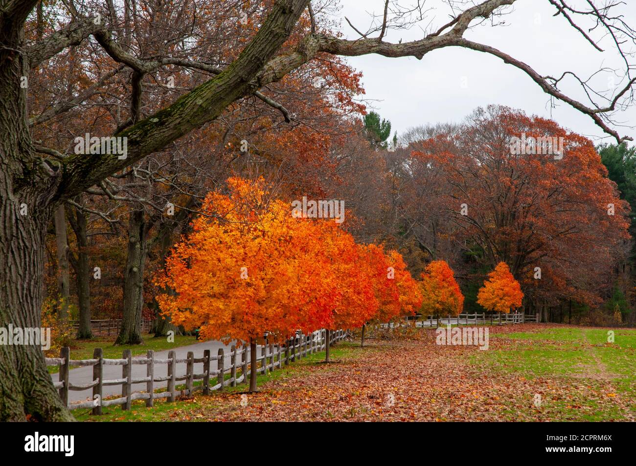 Bring out the best hi-res stock photography and images - Alamy