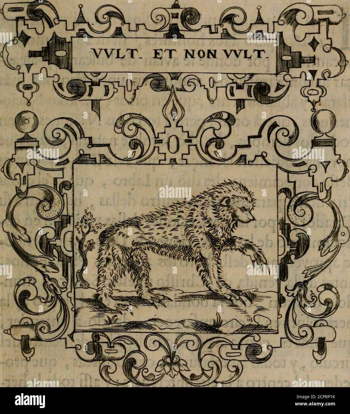 Como animal de tiro hi-res stock photography and images - Alamy