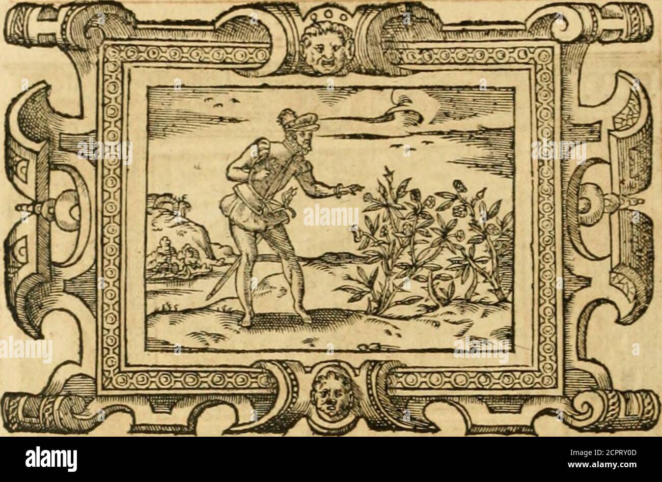 Nec homo hi-res stock photography and images - Alamy