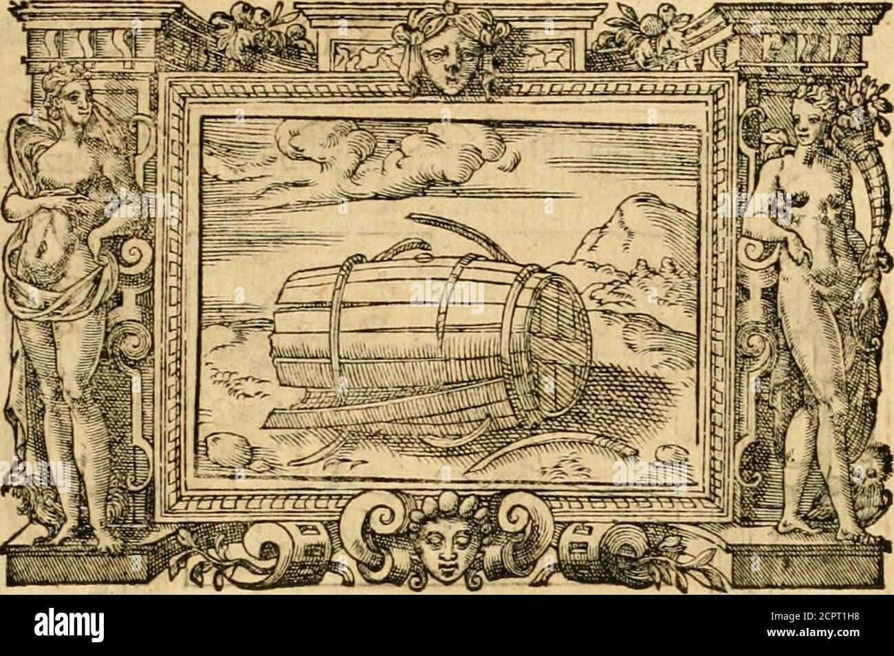 Circulis hi-res stock photography and images - Alamy