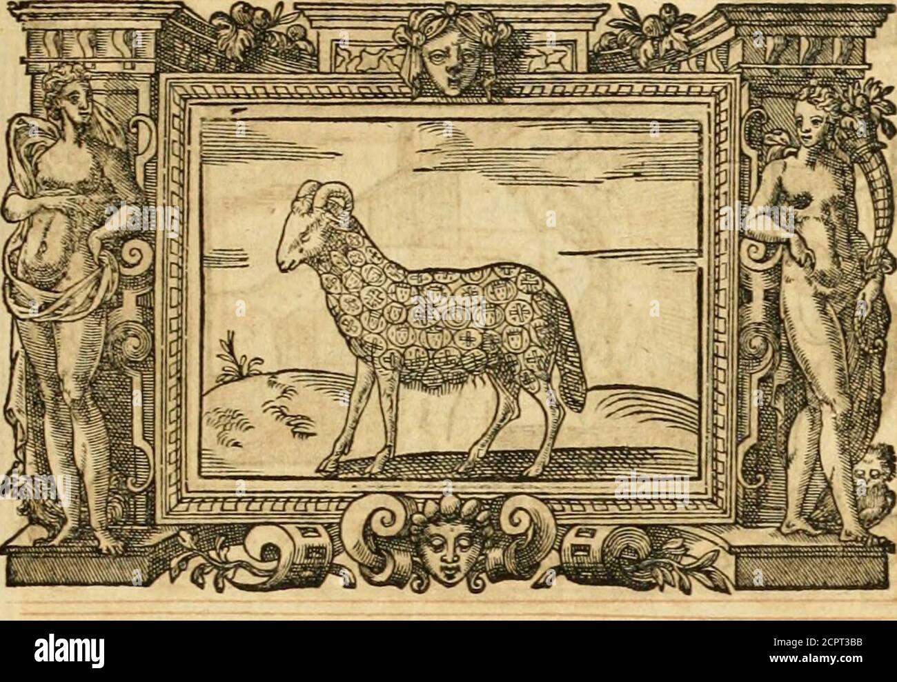 Tundens hi-res stock photography and images - Alamy