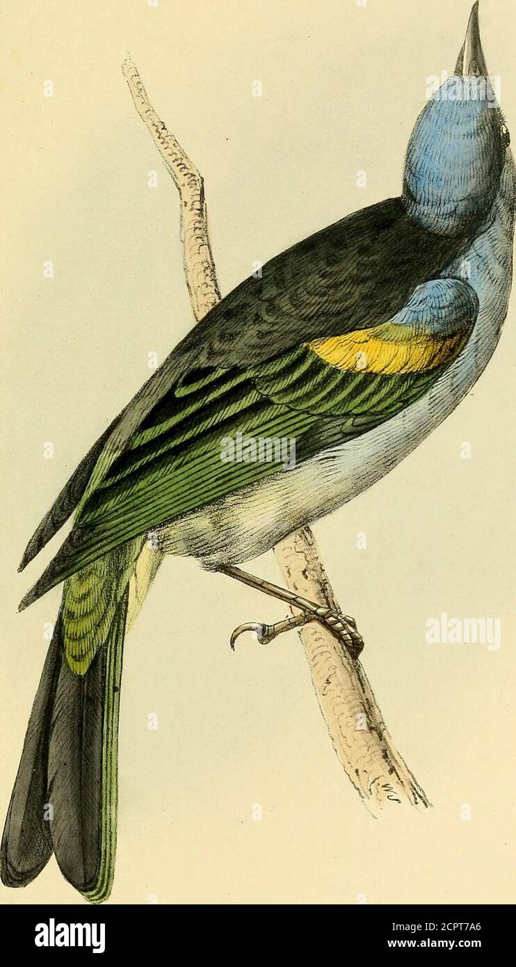 Pioi hi-res stock photography and images - Alamy