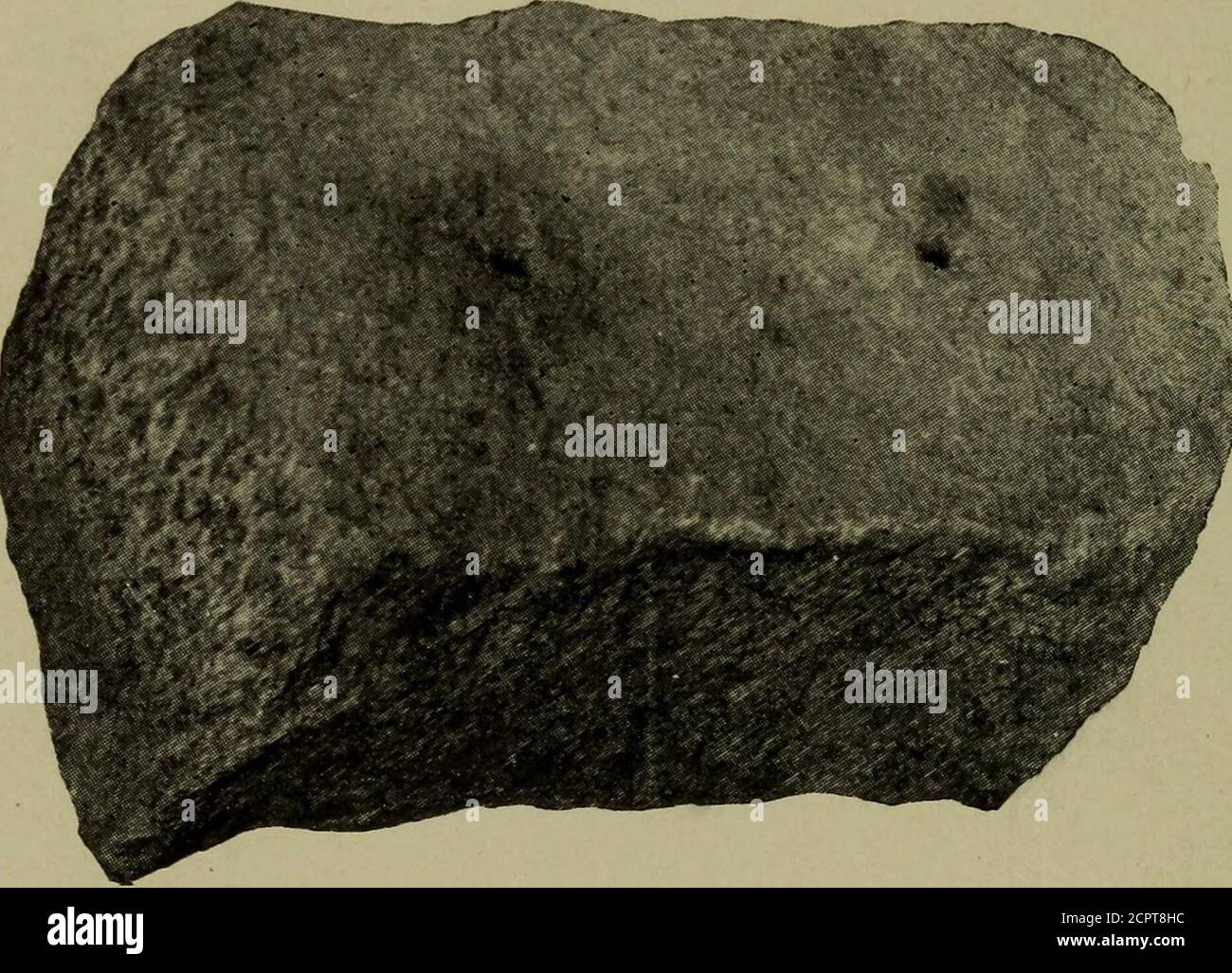 Stringer track hi-res stock photography and images - Alamy