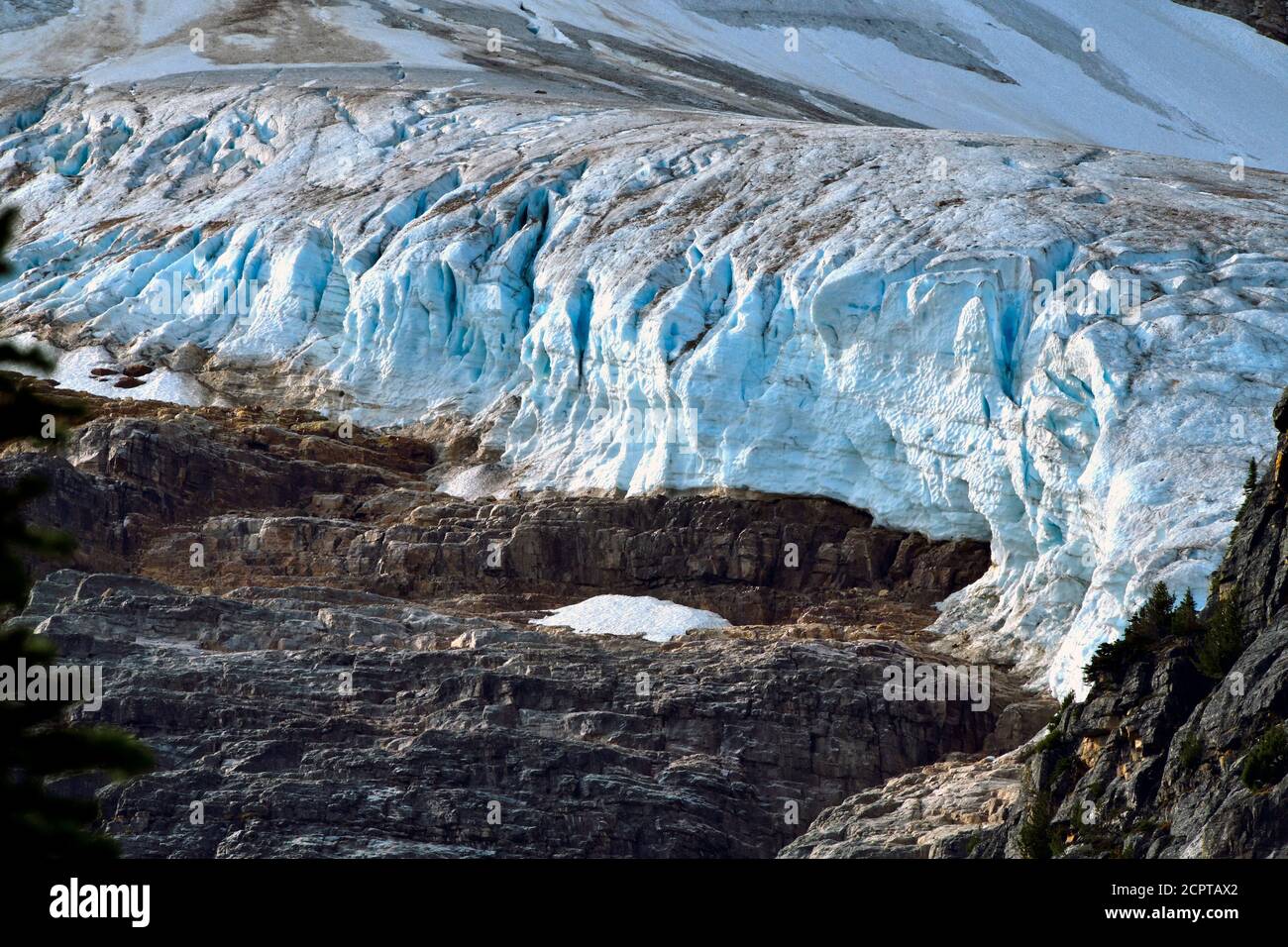 A close up image of the blue ice of the Angel glacier on Mount Edith ...