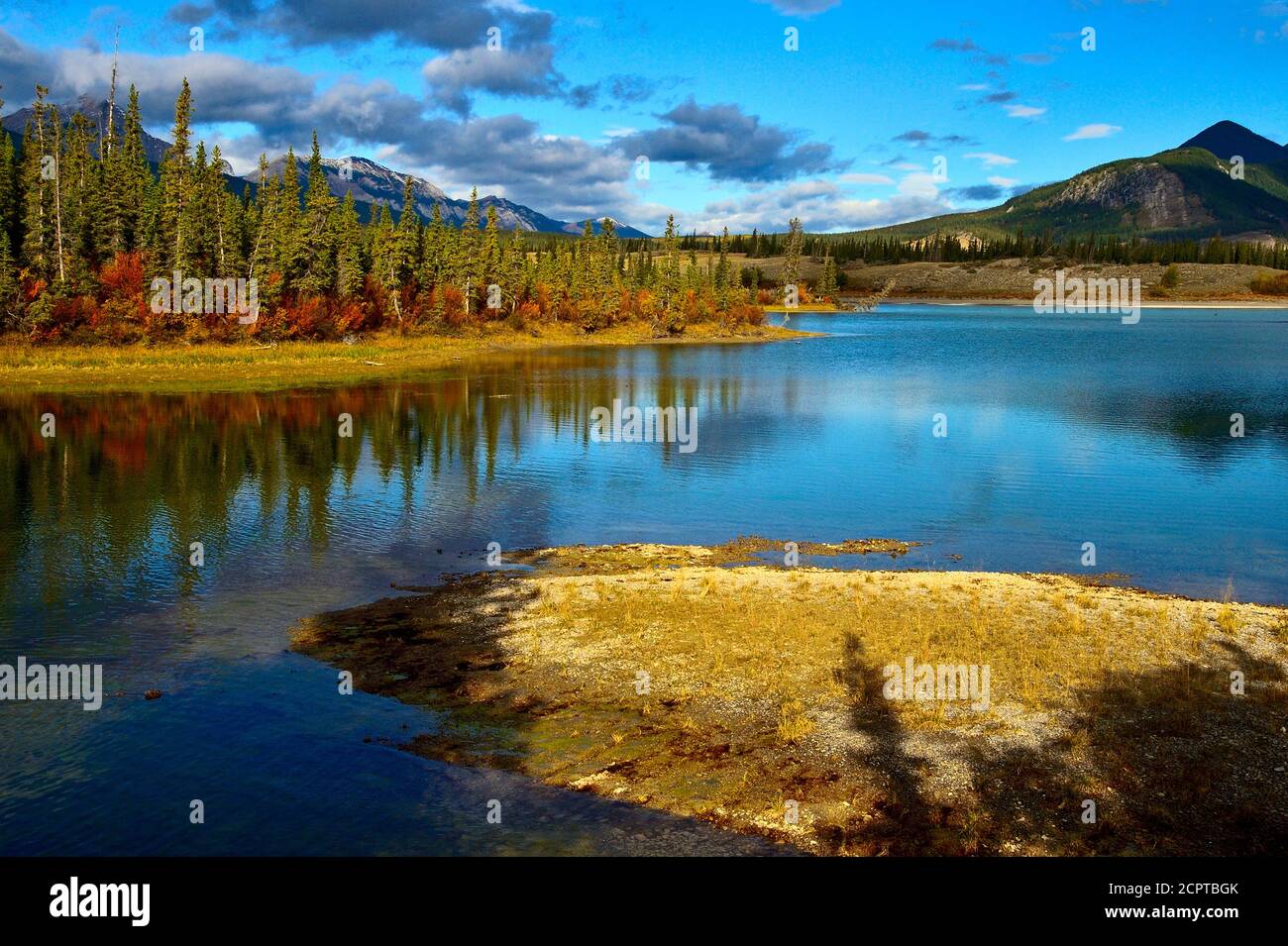 A fall landscape image of the Athabasca river with the colorful fall ...