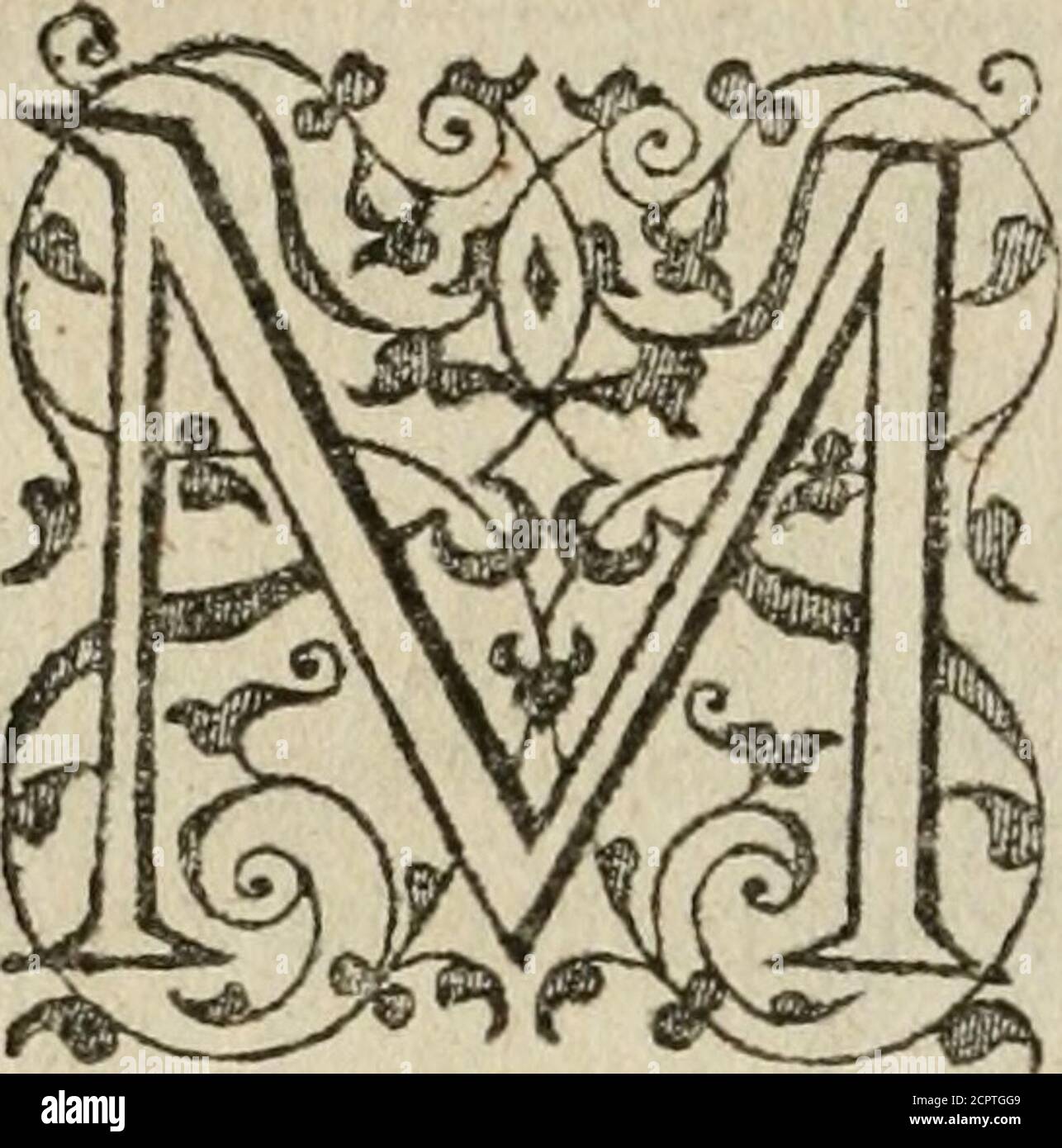 Le verat hi-res stock photography and images - Alamy