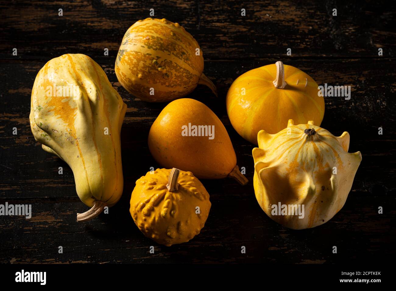 Gourds in different curious and funny shapes and sizes Stock Photo - Alamy