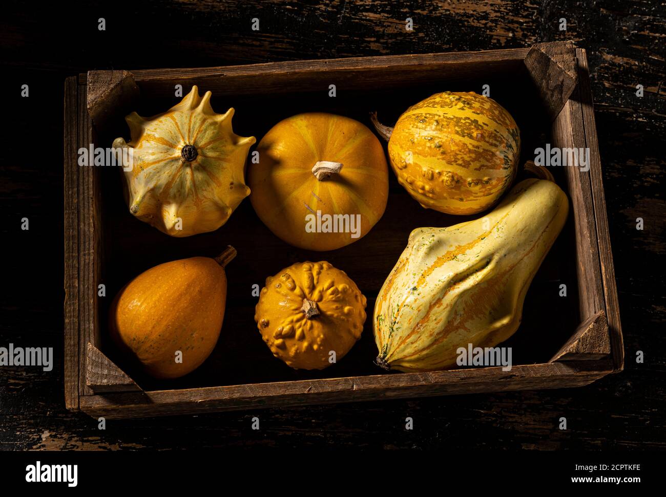 Gourds in different curious and funny shapes and sizes Stock Photo - Alamy