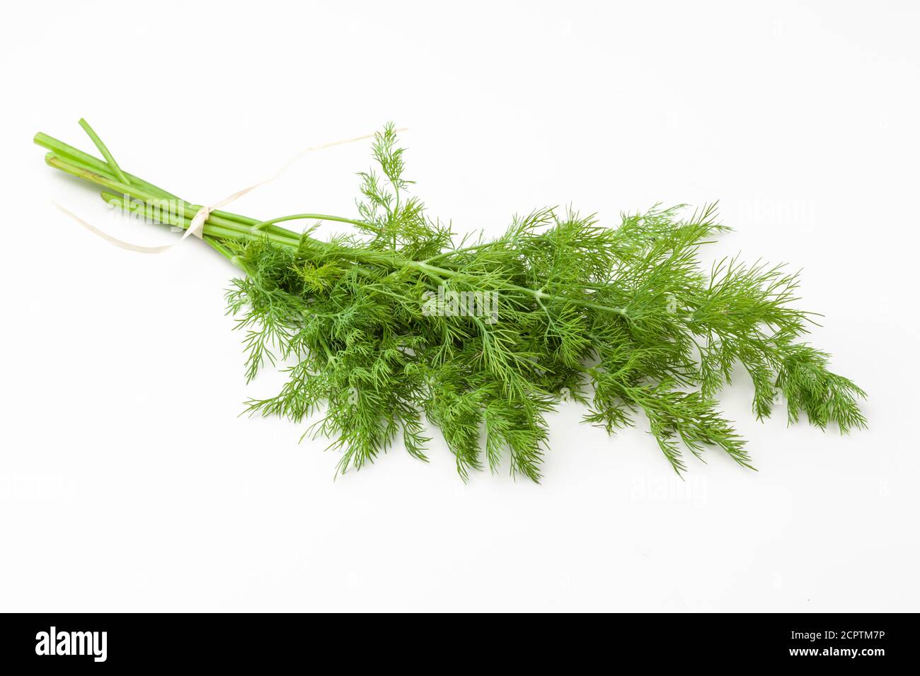 A bunch of dill isolated on white Stock Photo - Alamy
