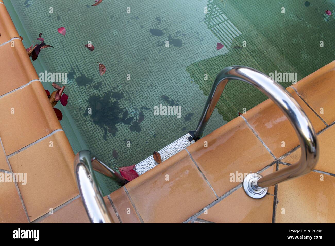 Abandoned dirty outdoor swimming pool in winter with algae and autumn ...