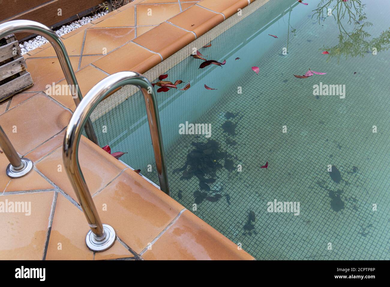 Abandoned dirty outdoor swimming pool in winter with algae and autumn ...