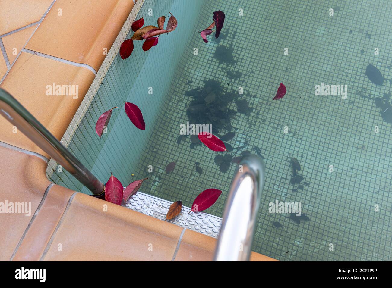Abandoned dirty outdoor swimming pool in winter with algae and autumn ...