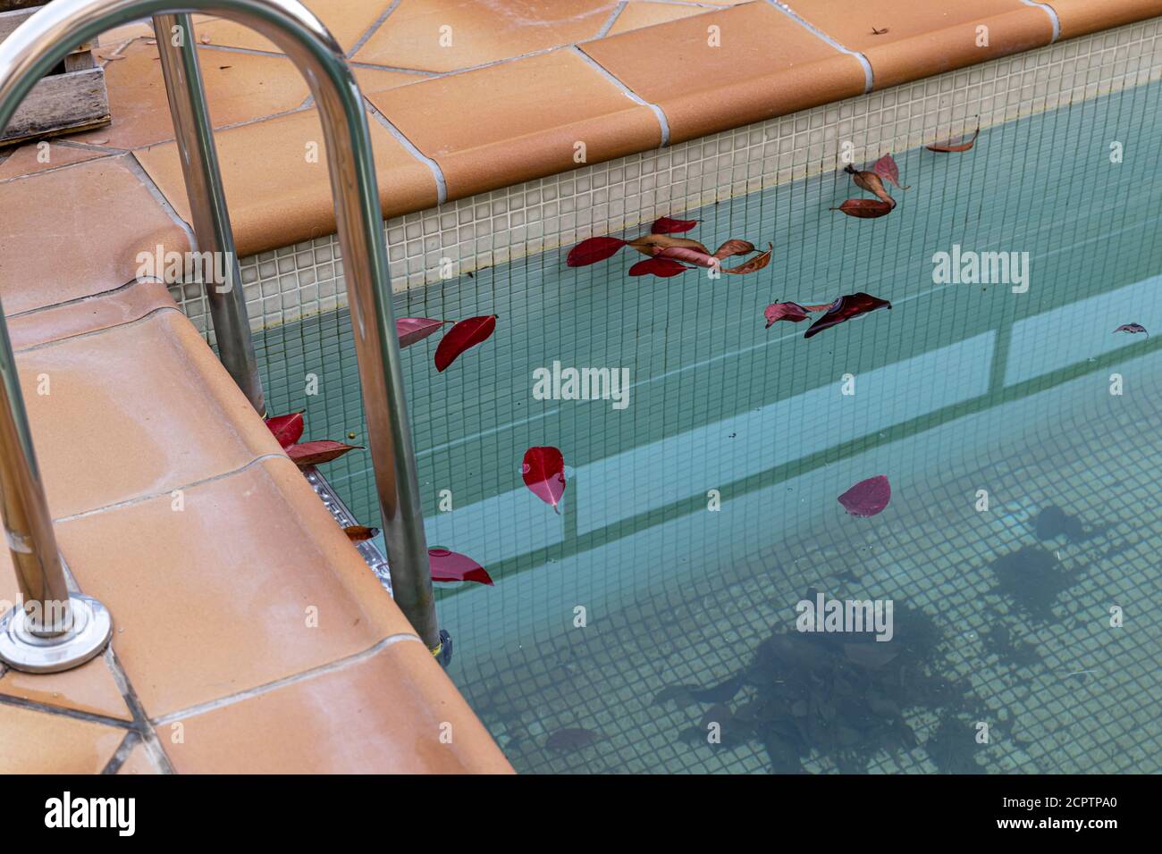 Abandoned dirty outdoor swimming pool in winter with algae and autumn ...