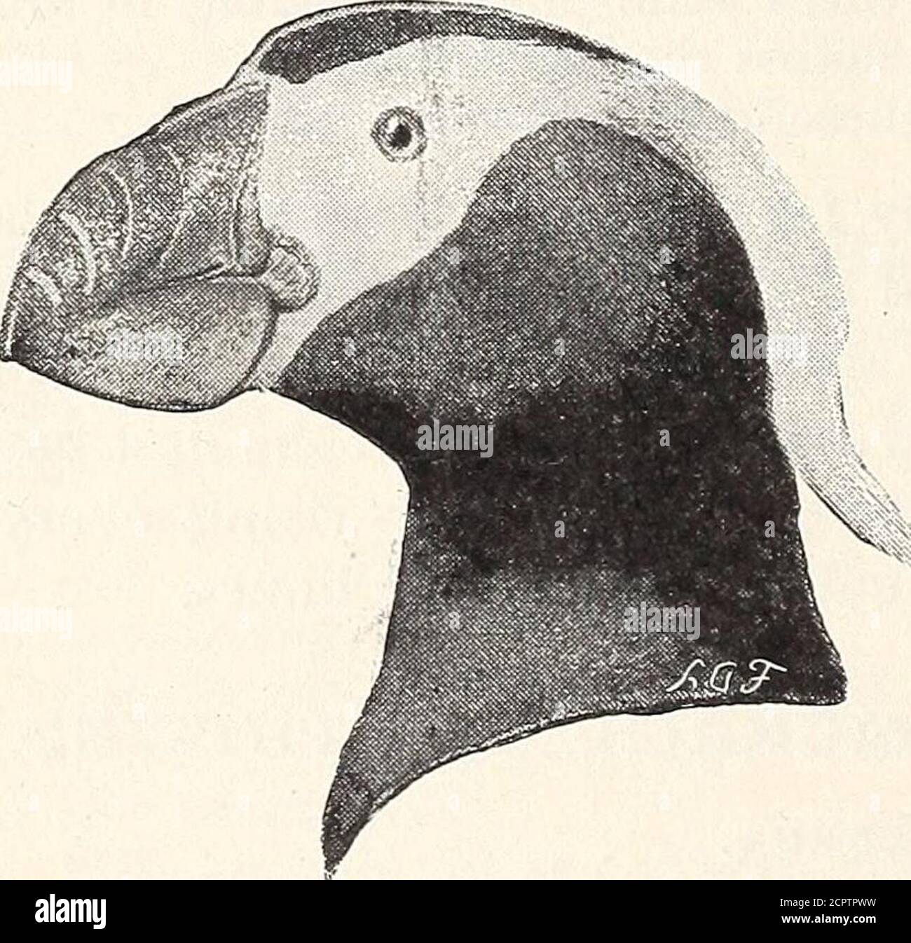 . Handbook of birds of the western United States including the great ...