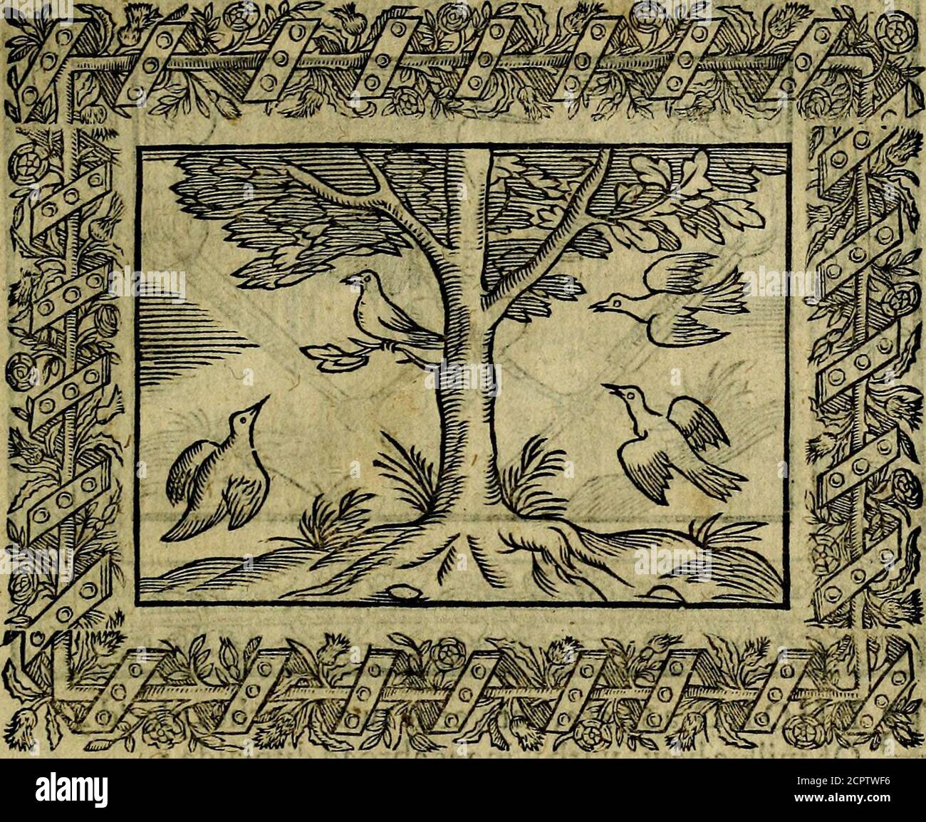 Fe minerva hi-res stock photography and images - Alamy