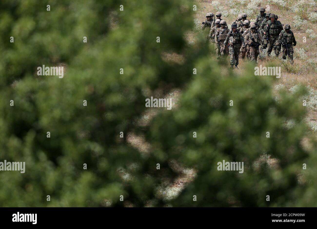 Peace sentinel hi-res stock photography and images - Alamy