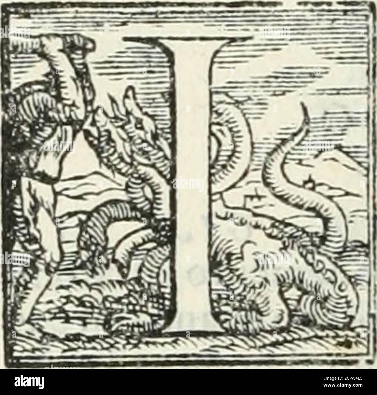 Pollo fuori hi-res stock photography and images - Alamy