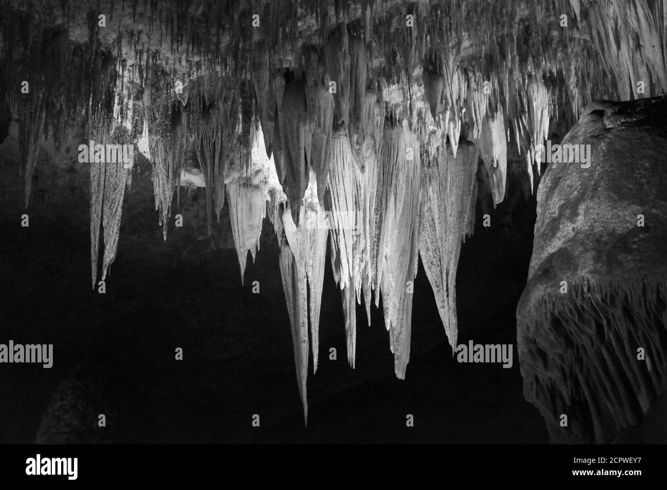 Limestone stalactite formation that looks a chandelier, Carlsbad Carven ...