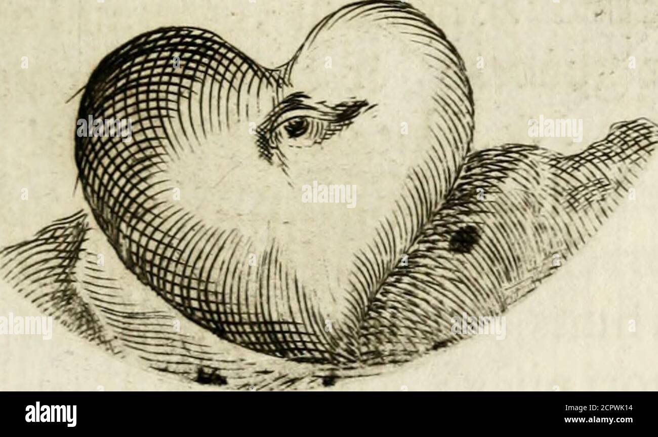 Cle de sol hi-res stock photography and images - Alamy