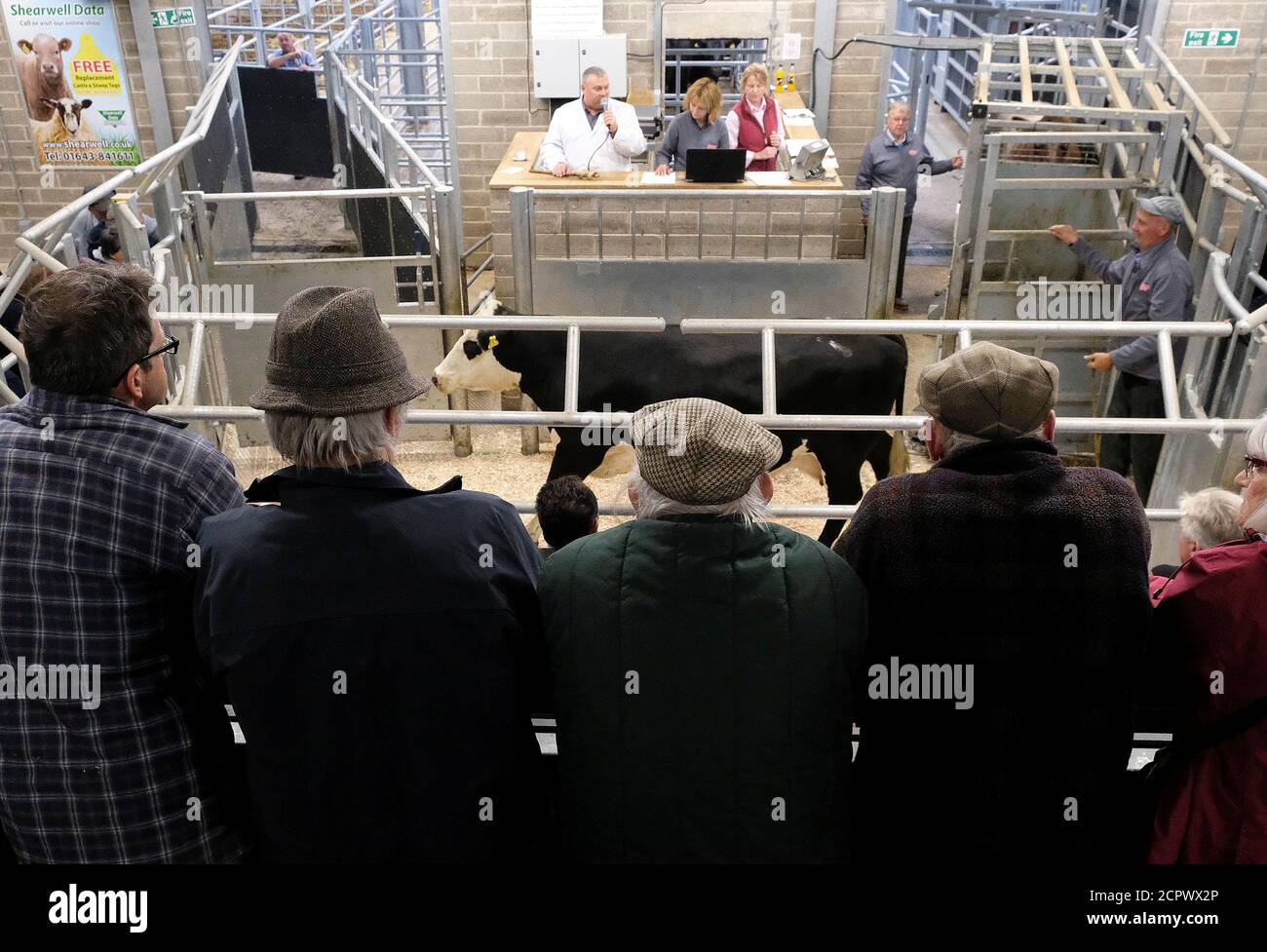 Melton mowbray livestock market melton mowbray hi-res stock photography ...