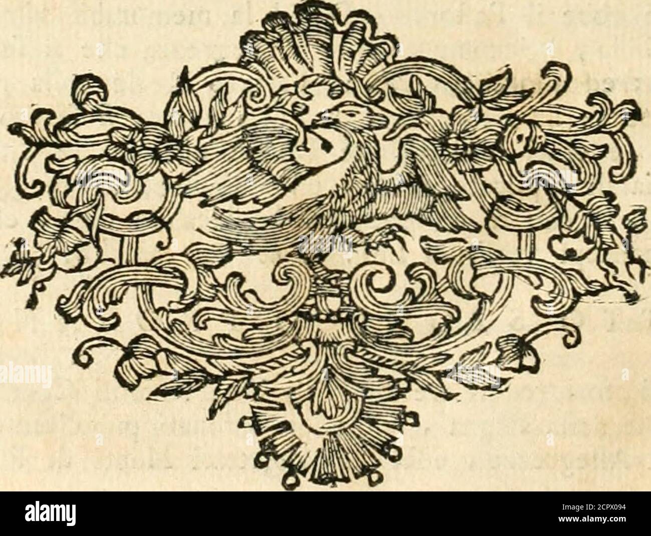 Cavaliere di rame hi-res stock photography and images - Alamy