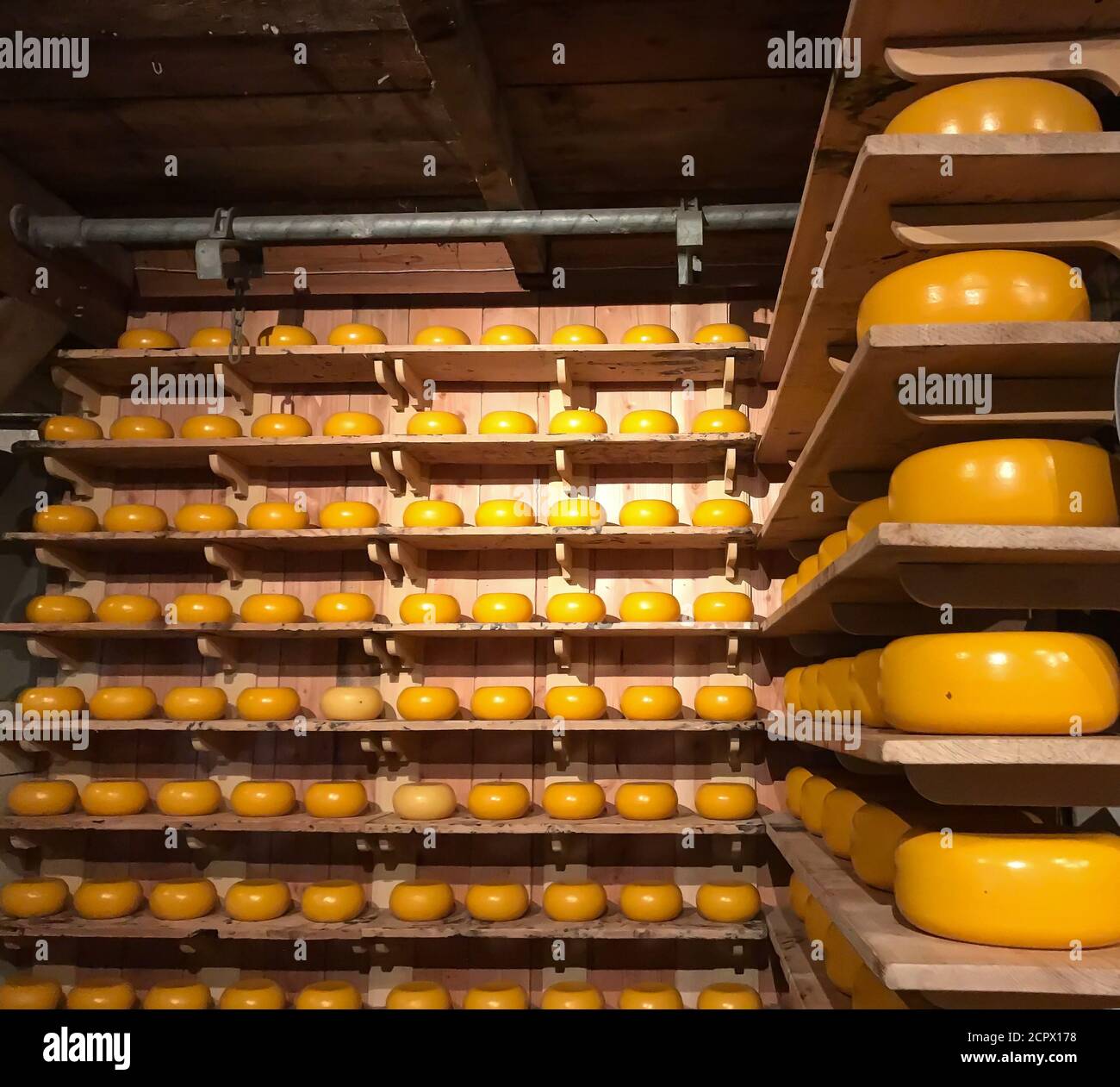 Dutch famous yellow rounded cheese image Stock Photo - Alamy
