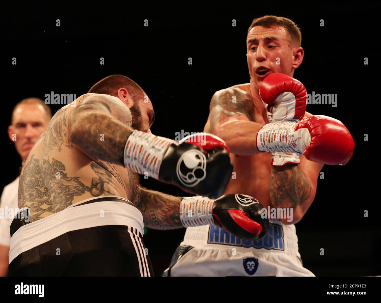 Ivan nikolov boxing hi-res stock photography and images - Alamy
