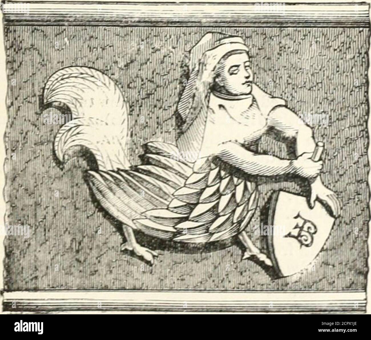 Gros grains hi-res stock photography and images - Alamy