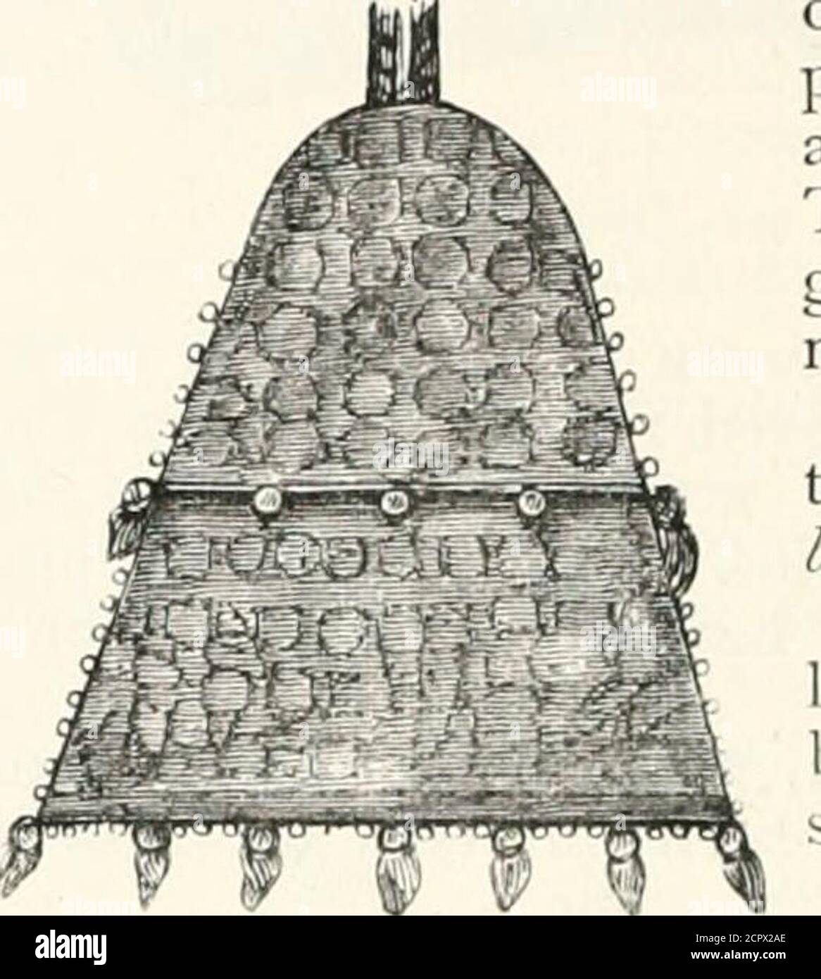 Ginglymus hi-res stock photography and images - Alamy