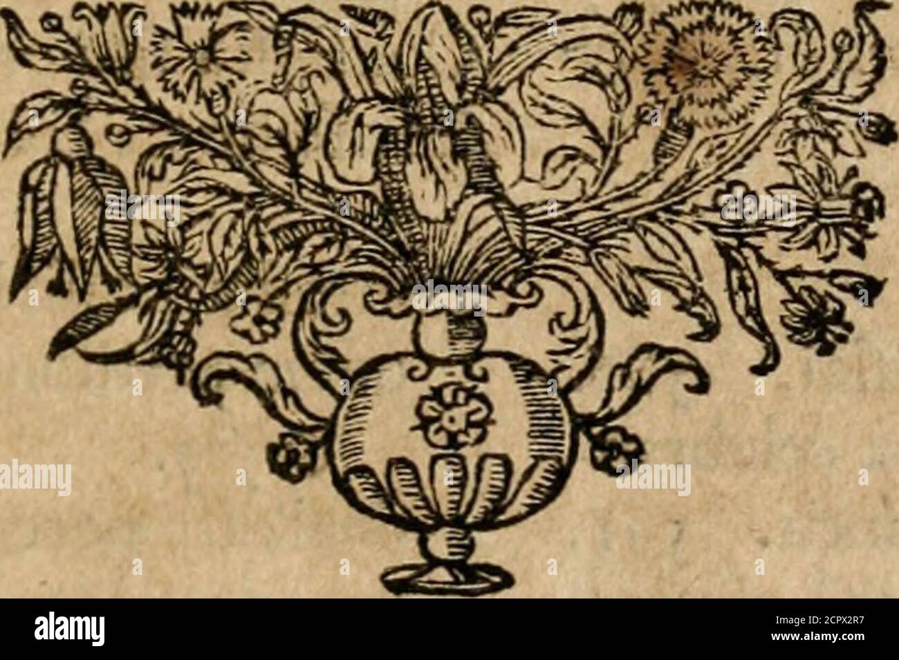 Ariae hi-res stock photography and images - Alamy