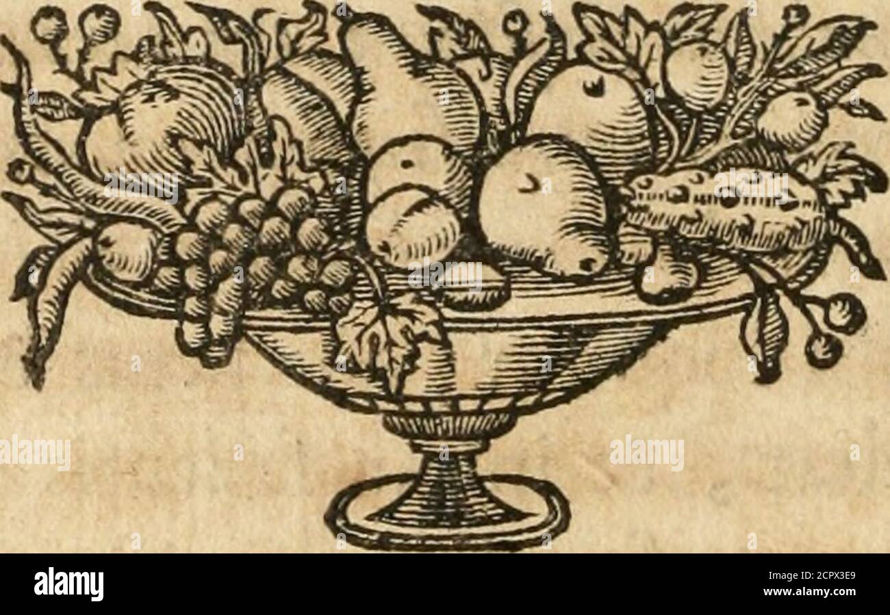 Alienum hi-res stock photography and images - Alamy