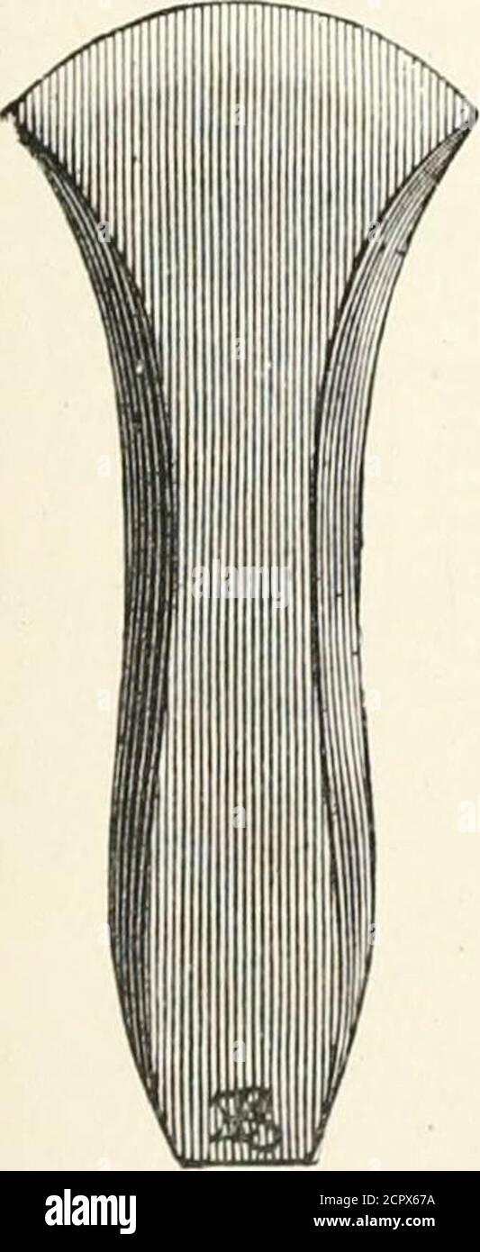 . An illustrated dictionary of words used in art and archaeology ...