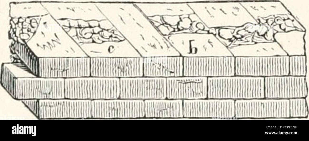 Diastyle High Resolution Stock Photography and Images - Alamy