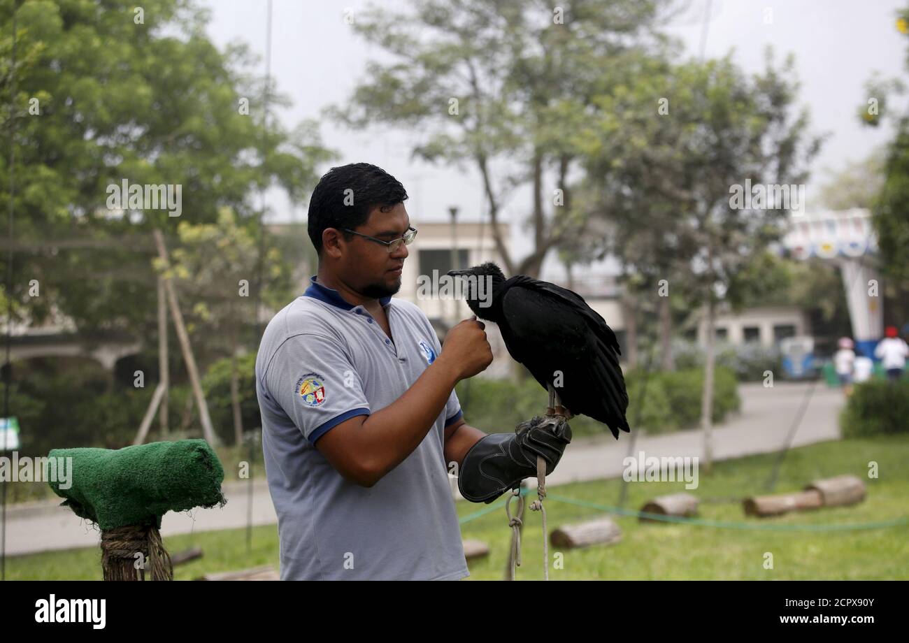 Zoo animal trainer hi-res stock photography and images - Alamy